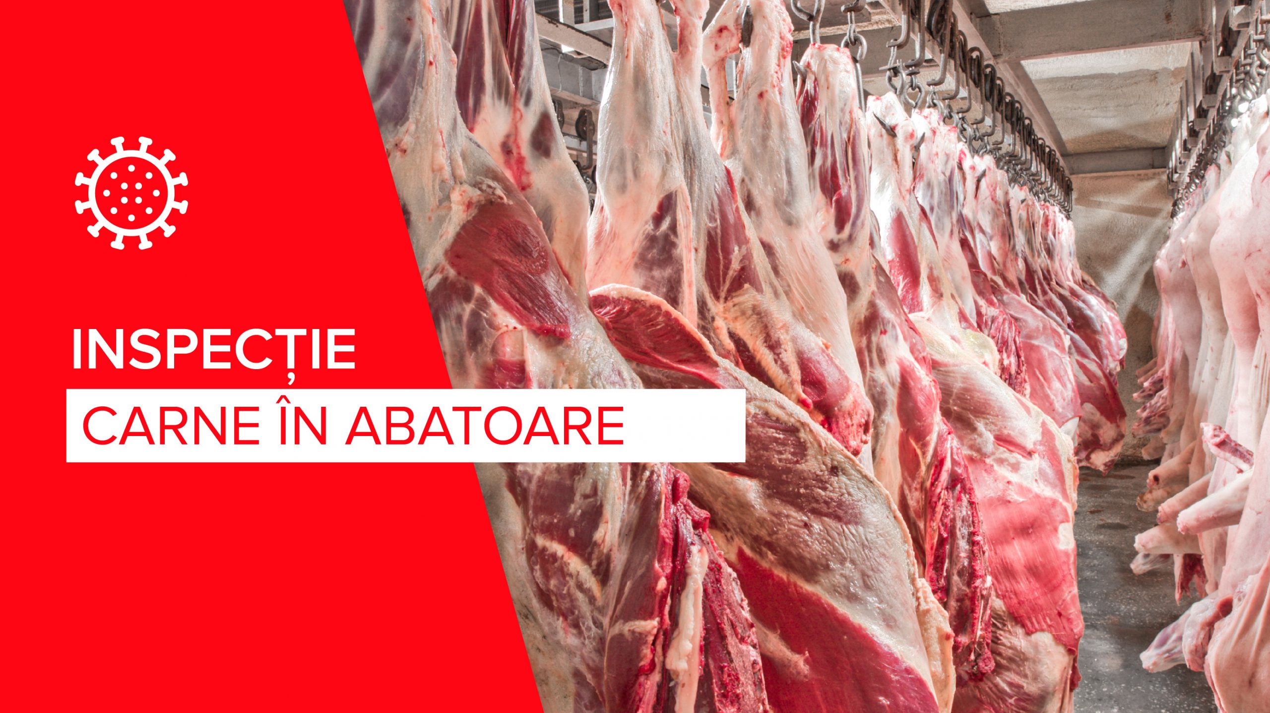 ACEBOP | Inspecție carne în abatoare - ACEBOP