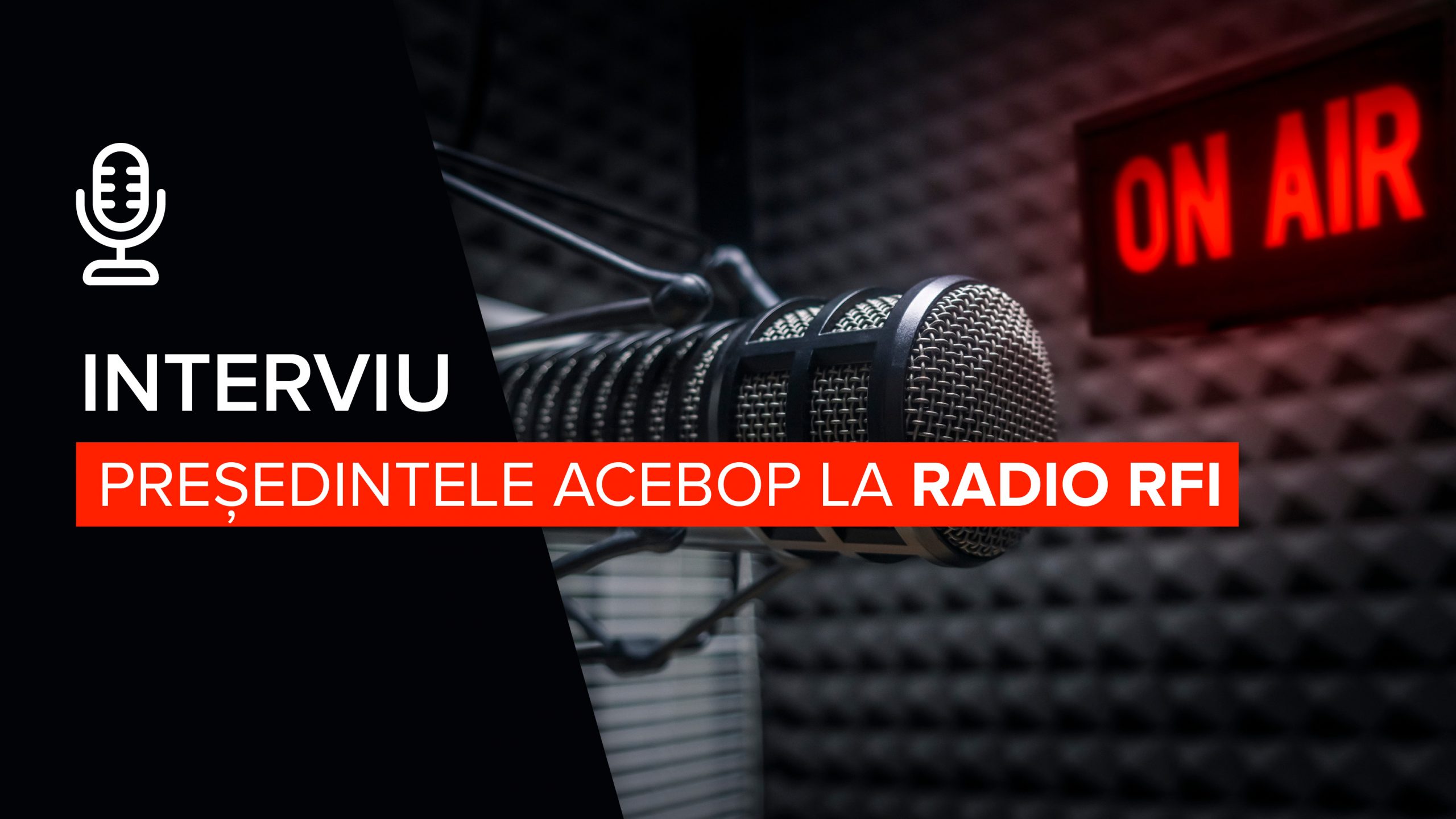 ACEBOP | Interviu Mary Pană la Radio France International (RFI) - ACEBOP