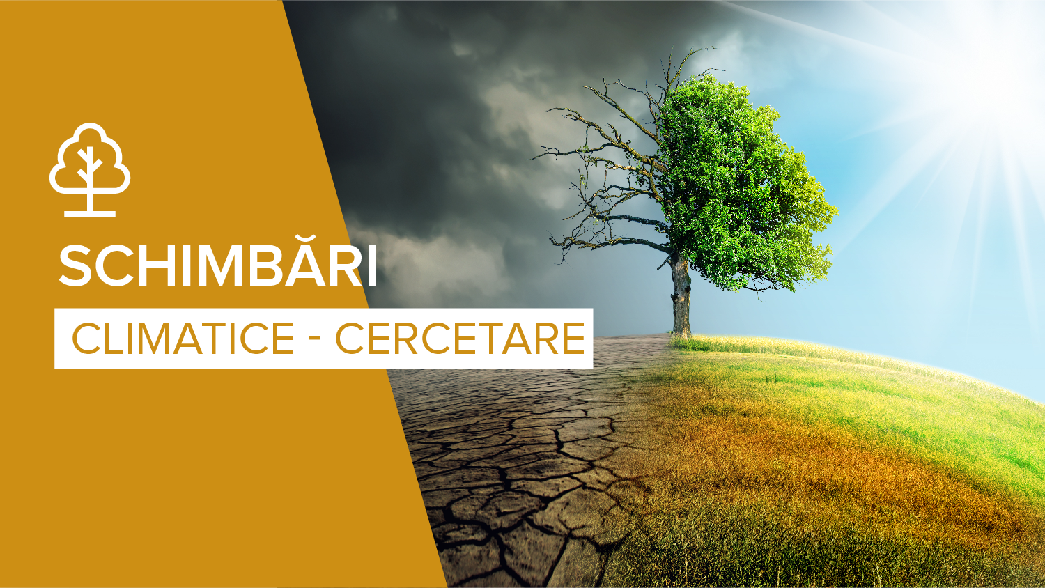 ACEBOP | Cercetare mediu – schimbări climatice - ACEBOP