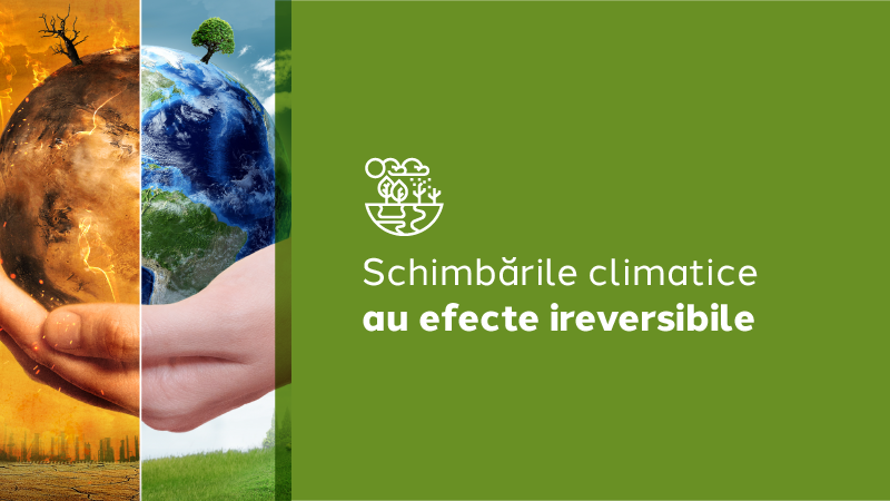 ACEBOP | Schimbările climatice, din ce în ce mai resimțite. Noile ...